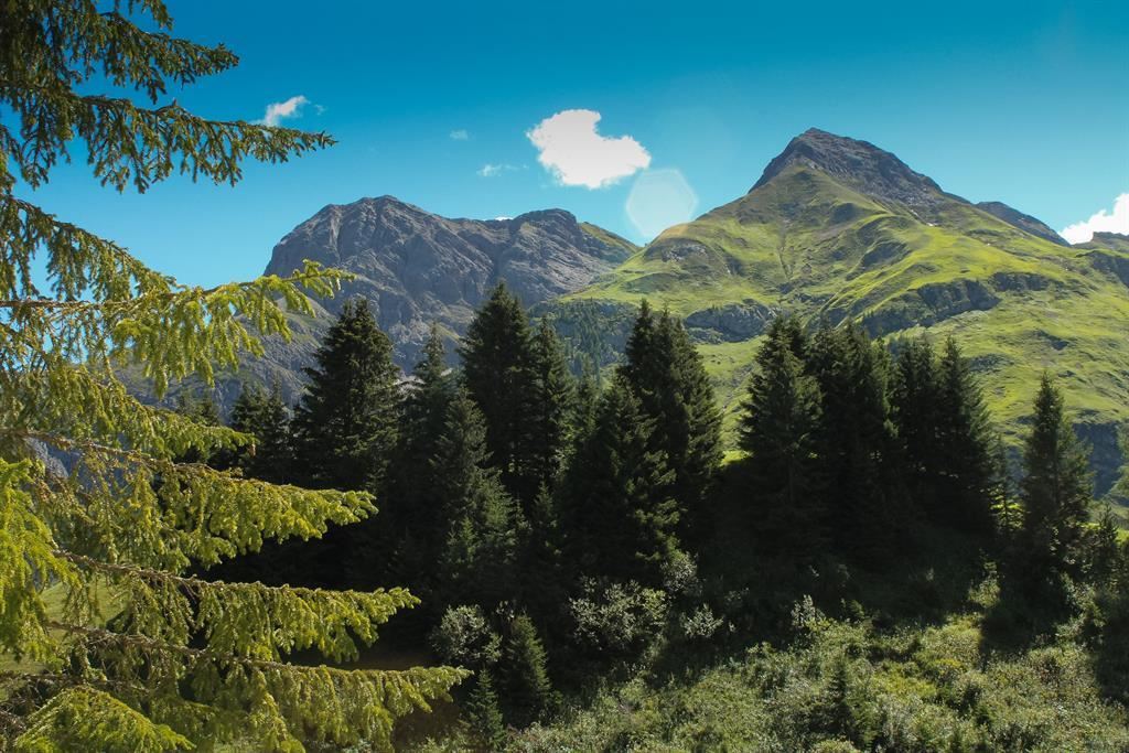 Appartement Seebachsee - Warth